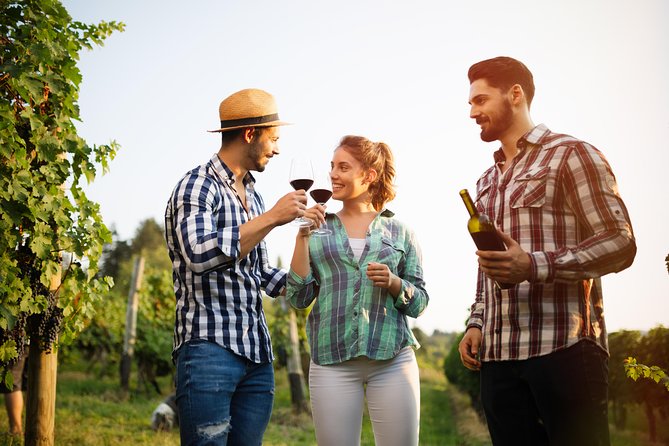 Paso Robles Wine Adventure with pickup from Pismo Beach, CA - Final Thoughts