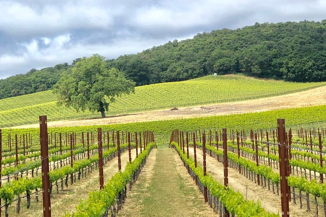 Paso Robles Wine Tour: We Drive Your Vehicle - Why This Tour Works Well