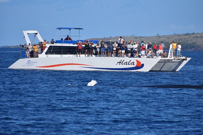 Pau Hana Sunset Cruise with the Whales - The Sum Up