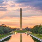 Peaceful Family walking tour in Washington - The Experience From Past Participants