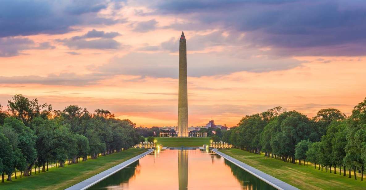 Peaceful Family walking tour in Washington - The Experience From Past Participants