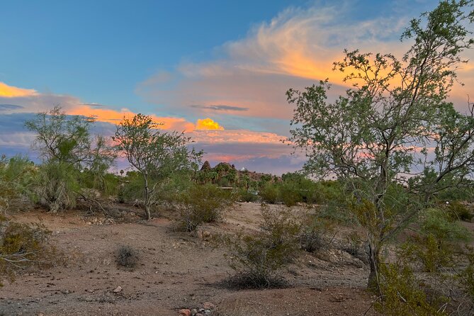 Peaceful Morning Walk: Guided Journey Through the Sonoran Desert - What We Loved About the Experience