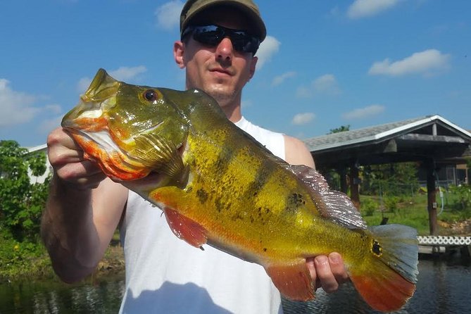 Peacock Bass Fishing Trip in Boynton Beach - An In-Depth Look at the Peacocks and the Trip