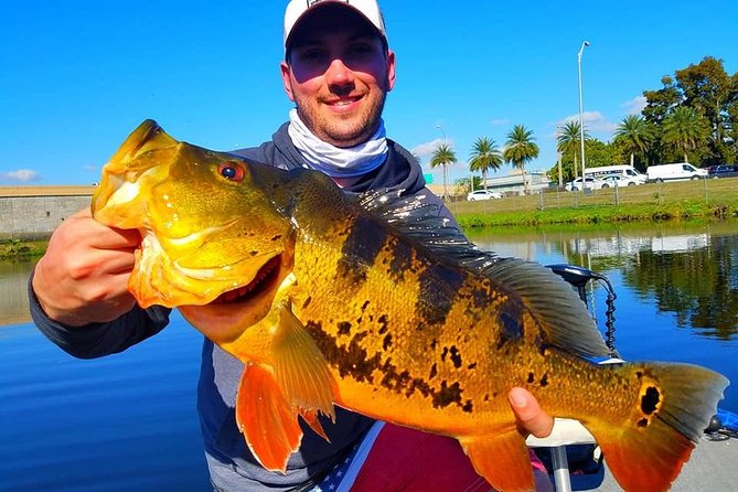 Peacock Bass Fishing Trip in Boynton Beach - Practical Details and Booking Tips