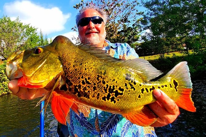Peacock Bass Fishing Trip near Miami South Beach - In The Sum Up
