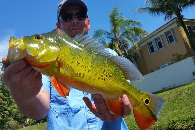 Peacock Bass Fishing Trip near Palm Beach - An In-Depth Look at the Peacock Bass Fishing Experience