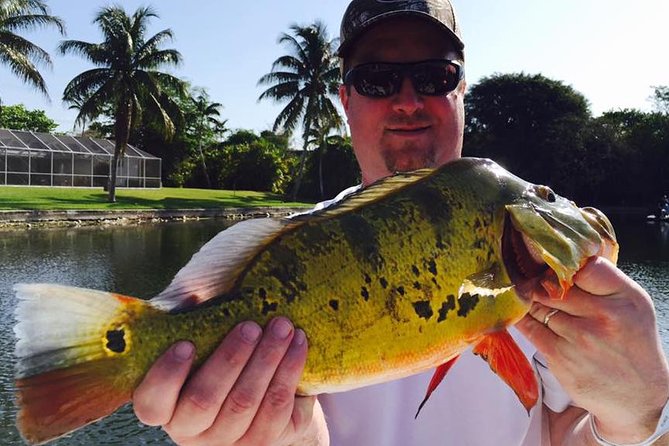 Peacock Bass Fishing Trips near Boca Raton - The Sum Up