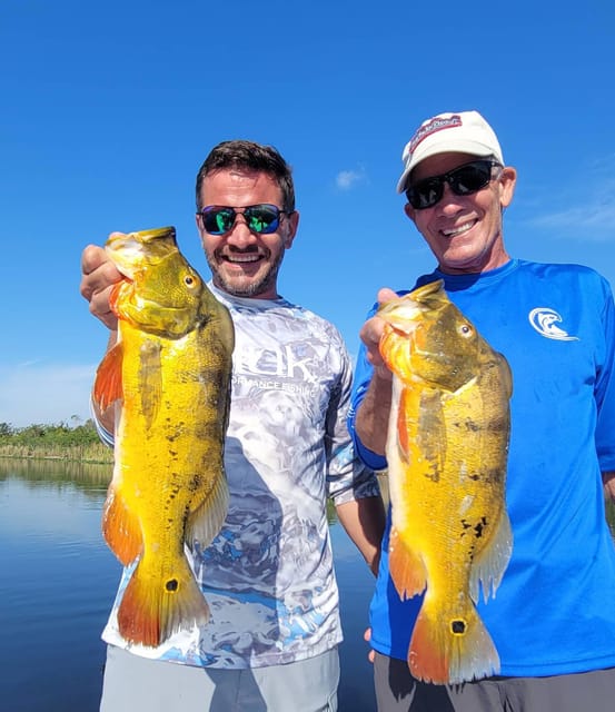 Peacock Bass Fishing Trips Near Miami Florida - Key Points