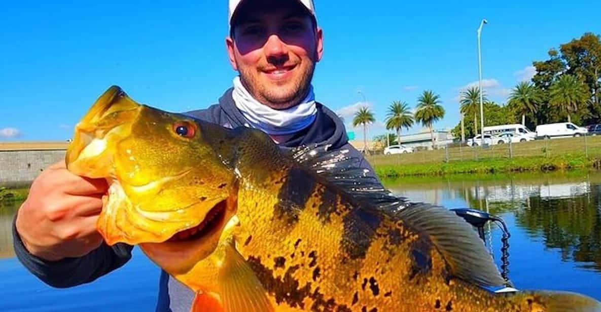 Peacock Bass Fishing Trips Near Miami Florida - What to Expect from the Itinerary