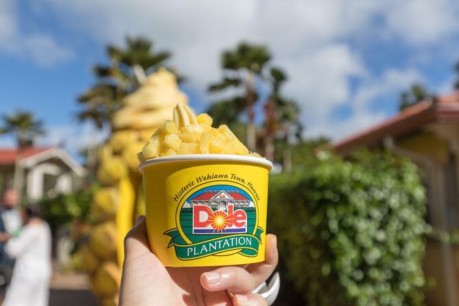 Pearl Harbor, Dole Plantation, and Polynesian Center from Waikiki - Introduction: An All-in-One Oahu Experience