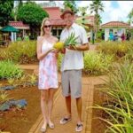 Pearl Harbor + Dole Plantation + Polynesian Center from Kauai - Practical Details and Tips