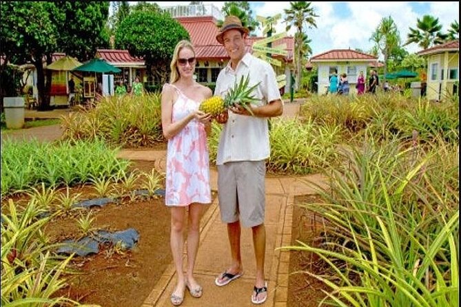 Pearl Harbor + Dole Plantation + Polynesian Center from Kauai - Practical Details and Tips