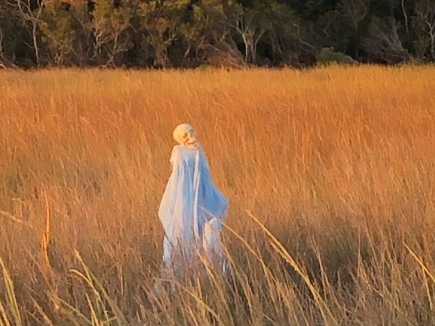 Pearlington, MS: The Haunted Bayou Cruise - Who Will Love This Experience?