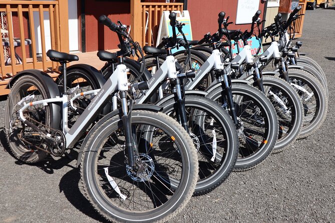 Pedal and Paddle Wine Tour in Arizona - What Sets This Tour Apart
