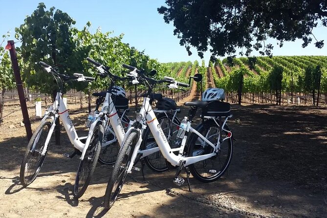 Pedal and Paddle Wine Tour in Arizona - Who Will Love This Tour?