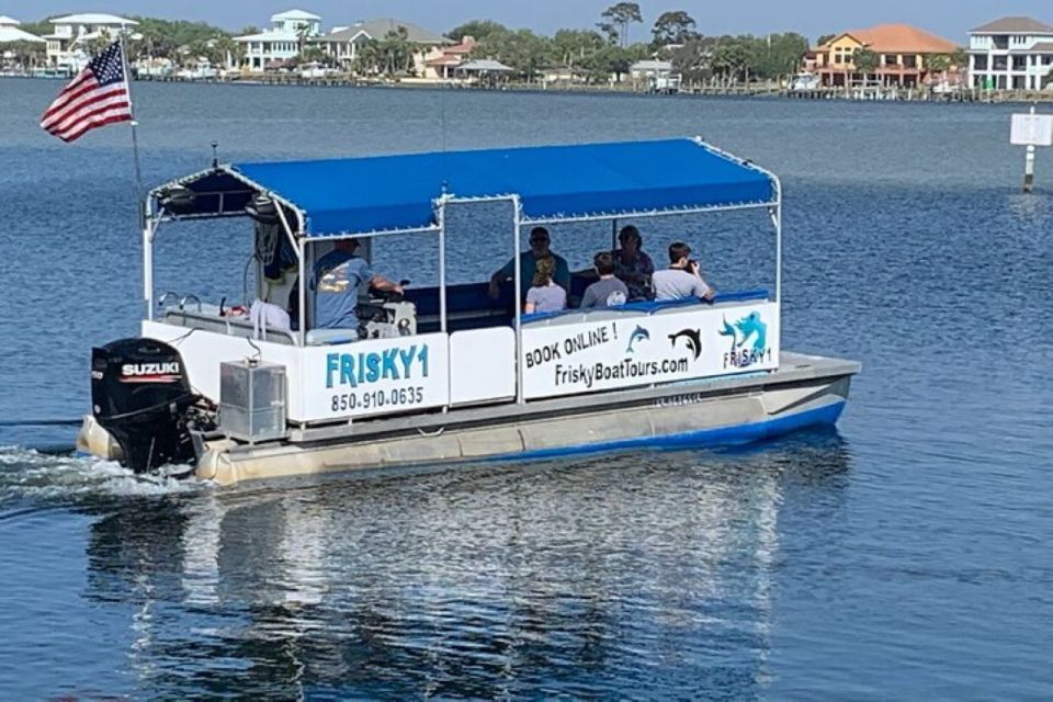Pensacola Beach Sunset Dolphin Tour private up to 6 ppl - Price and Value