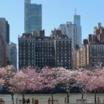 Personalized Experience with your Local Tour Guide - Highlights and Stops