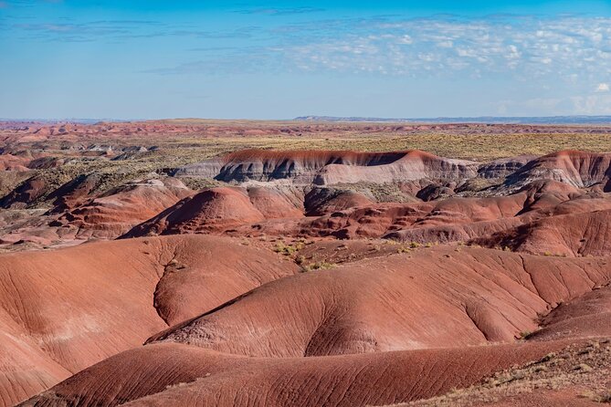 Petrified Forest National Park Self Guided Audio Driving Tour - Discovering the Petrified Forest with a Self-Guided Audio Driving Tour
