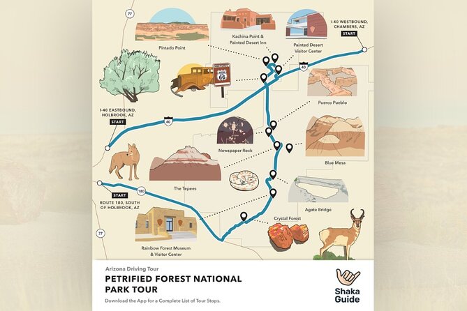 Petrified Forest National Park Self Guided Audio Driving Tour - Key Points