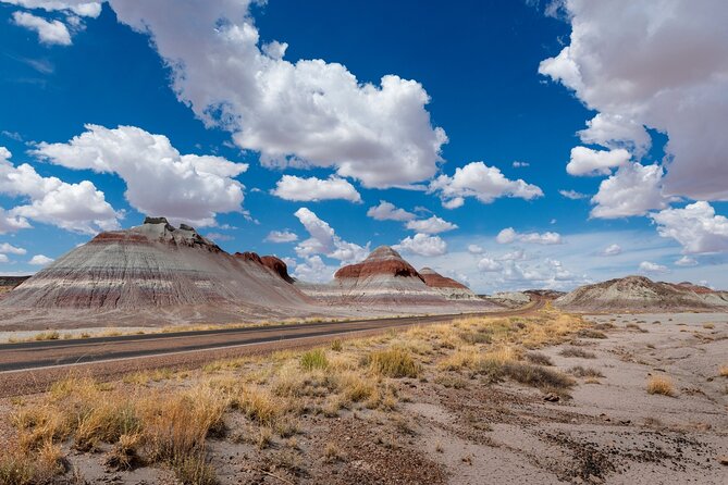 Petrified Forest National Park Self Guided Audio Driving Tour - An In-Depth Look at the Petrified Forest Self-Guided Audio Tour