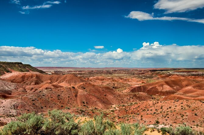 Petrified Forest National Park Self Guided Audio Driving Tour - The Sum Up