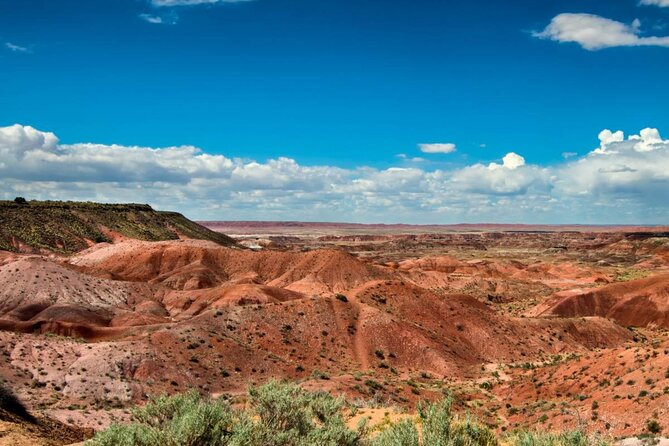Petrified Forest National Park Self-Guided Driving Audio Tour - The Real Story from Reviewers