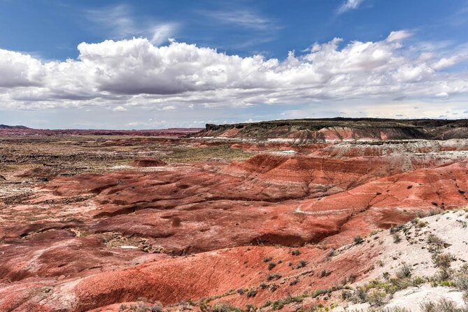 Petrified Forest National Park Self-Guided Driving Audio Tour - Final Thoughts: Is This Tour for You?