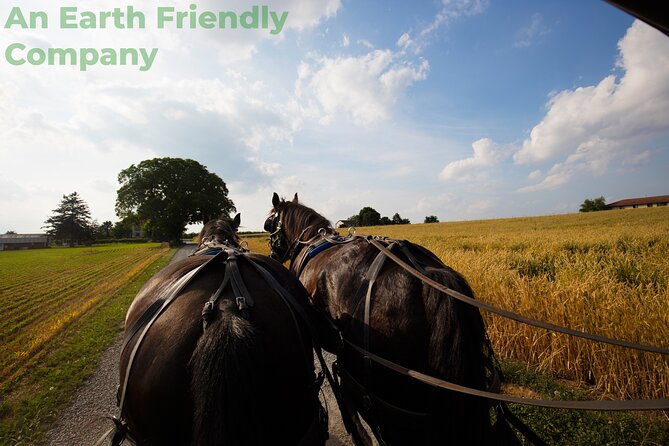 Philadelphia and Amish Country, 1-Day Tour from NYC - Key Points