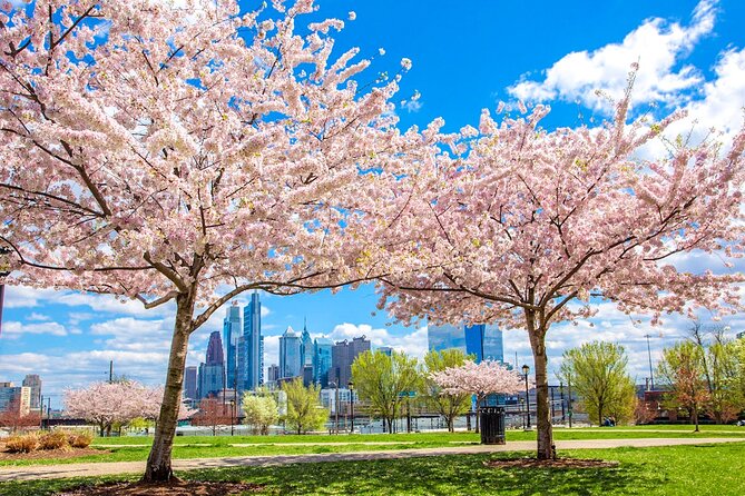 Philadelphia Cherry Blossom 1-Day Tour from New York - Who Should Consider This Tour?