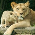 Philadelphia: Go City All-Inclusive Pass w/ 30+ Attractions - What Can You Expect During Your Visit?