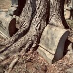 Philadelphia's Forgotten Dead - Authentic Insights from Past Participants