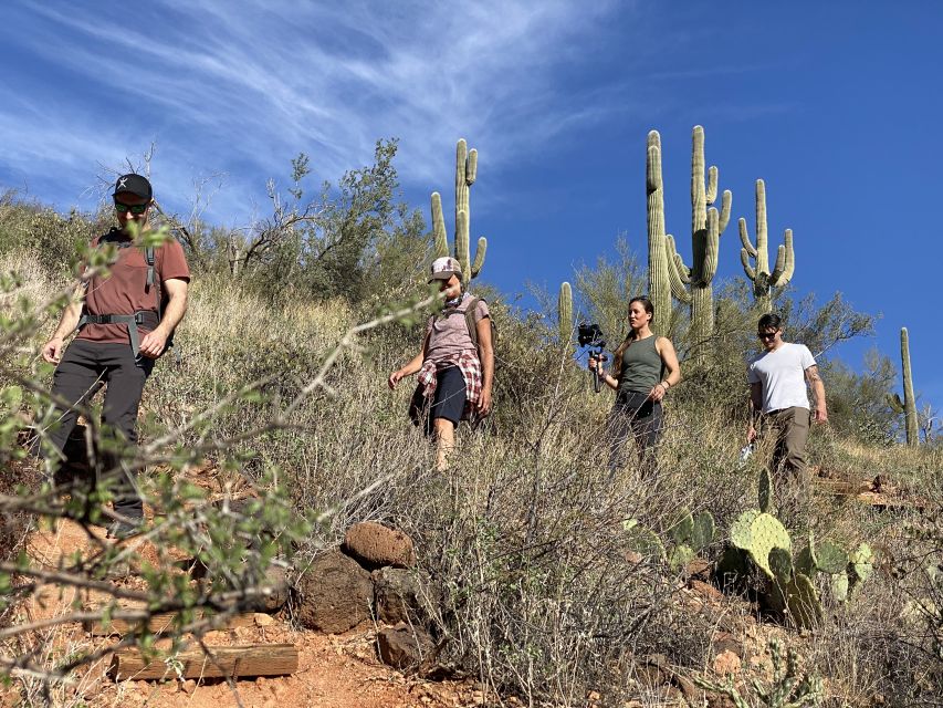 Phoenix: Amazing Two-Hour Guided Hike in the Sonoran Desert - An In-Depth Look at the Sonoran Desert Hike