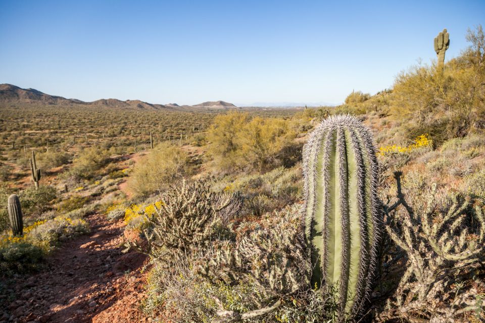 Phoenix/Scottsdale: Apache Trail Tour & Canyon Lake Cruise - Key Points
