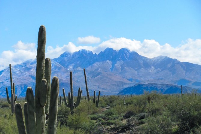 Phoenix Wilderness Hiking Tours - Key Points