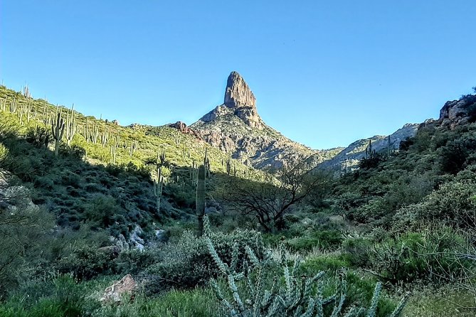 Phoenix Wilderness Hiking Tours - A Closer Look at the Experience