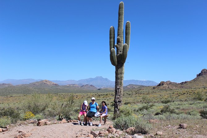 Phoenix Wilderness Hiking Tours - Why This Tour Offers Great Value