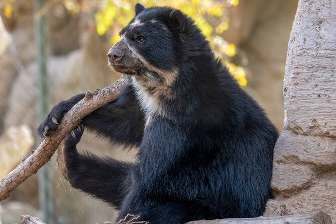 Phoenix Zoo Admission Ticket - Food, Souvenirs, and Amenities