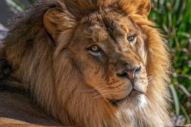 Phoenix Zoo Admission Ticket - Is the Phoenix Zoo Admission Ticket Worth It?