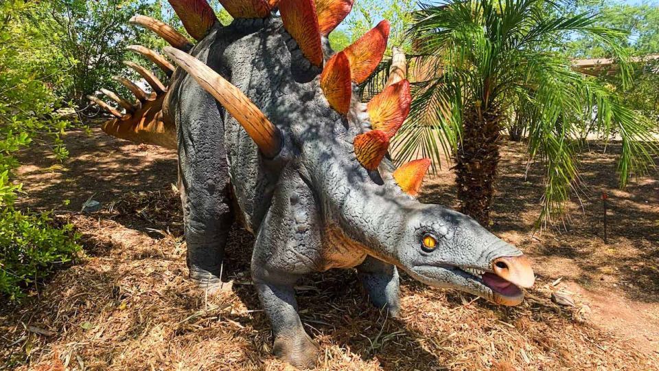 Phoenix Zoo One Day General Admission Ticket - Key Points