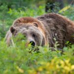 Photography Workshop in Grand Teton National Park - Is It Worth the Price?
