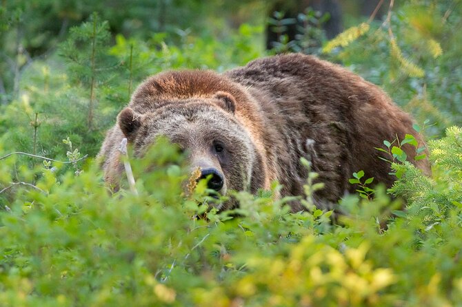 Photography Workshop in Grand Teton National Park - Is It Worth the Price?