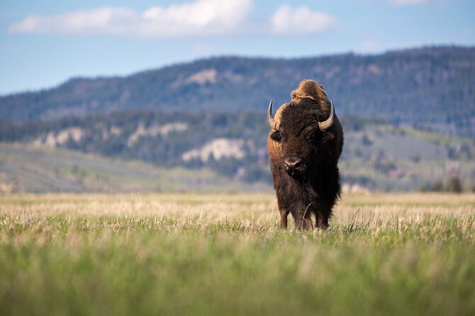Photography Workshop in Grand Teton National Park - Final Thoughts: Who Should Consider This Tour?