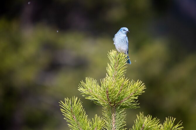 Photography Workshop in Grand Teton National Park - FAQ