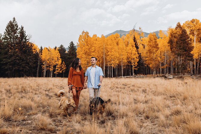 Photoshoot among the Flagstaff Forest - The Experience in Detail