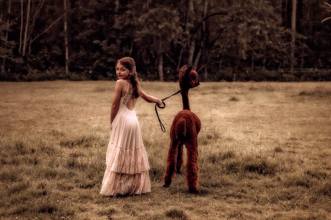 Photoshoot with Alpacas and Farm Experience near Seattle - What We Love About It