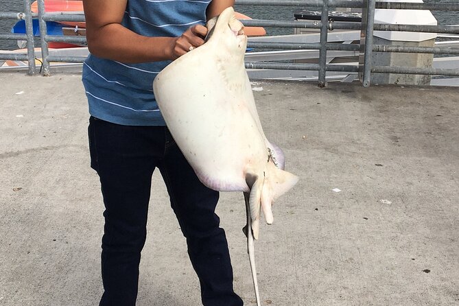 Pier Fishing Tour - San Diego - Introduction: What’s This Pier Fishing Tour All About?