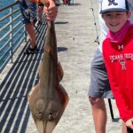 Pier Fishing Tour - San Diego - What’s Included and How It Works
