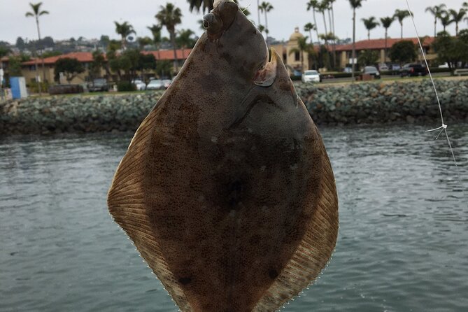 Pier Fishing Tour - San Diego - Who Should Consider This Tour?