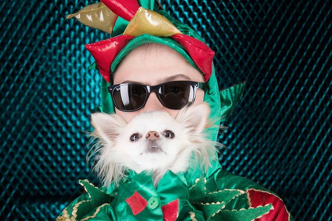 Piff the Magic Dragon at the Flamingo Las Vegas - The Reviews: Authentic Voices