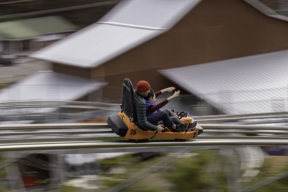 Pigeon Forge: Rocky Top Mountain Coaster Ride - The Experience Breakdown